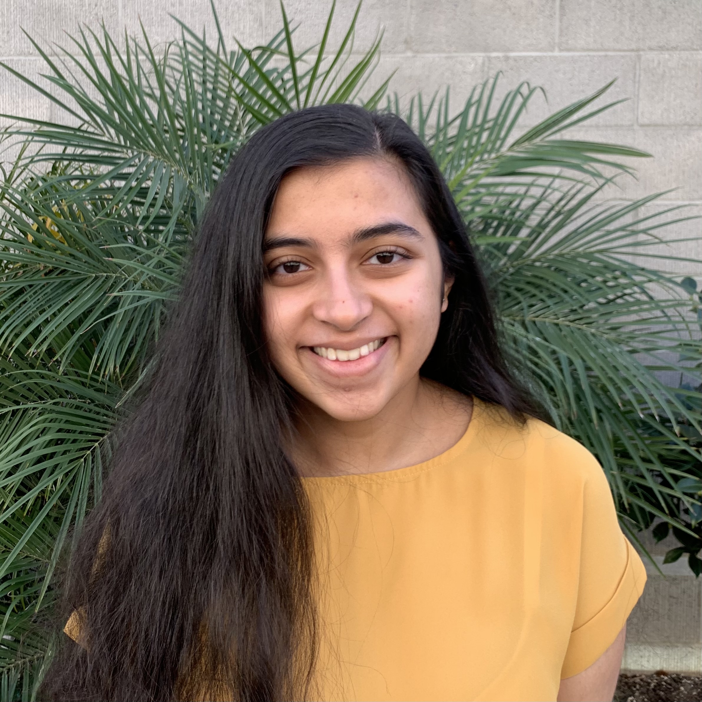 Anoushka Dave | anoushkadave.github.io